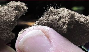 UltraFiber 500 – PSI – Productos y Soluciones de Ingeniería